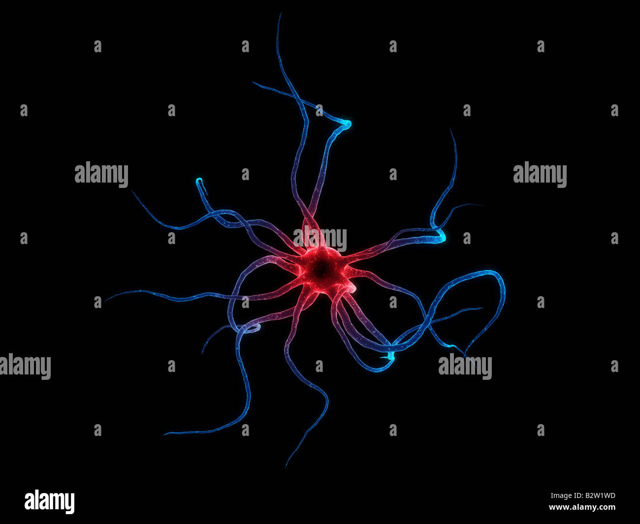 active nerve cell Stock Photo - Alamy