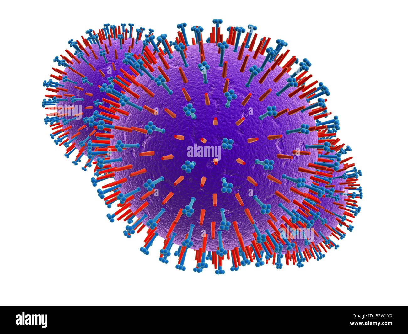Isolated viruses hi-res stock photography and images - Alamy