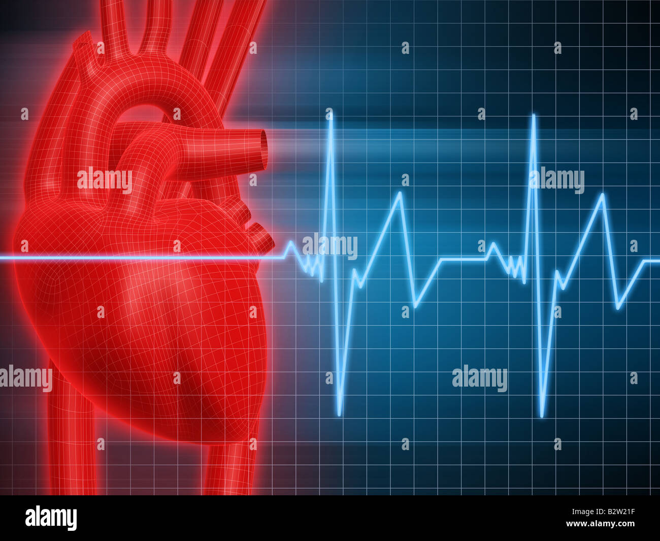 Human heart model internal hi-res stock photography and images - Alamy