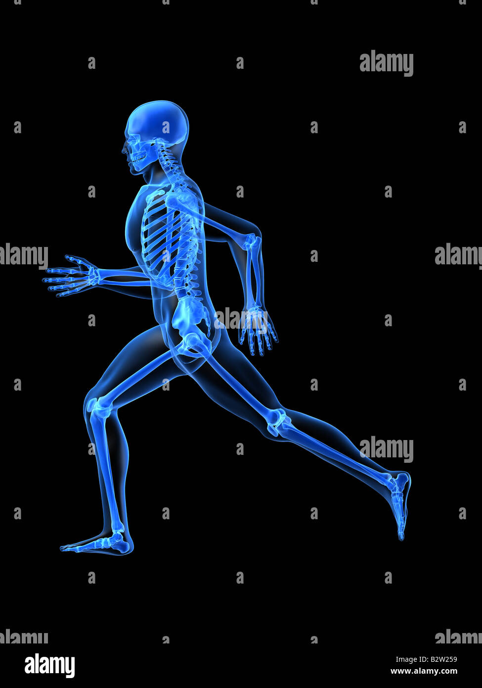 running man - anatomy Stock Photo - Alamy