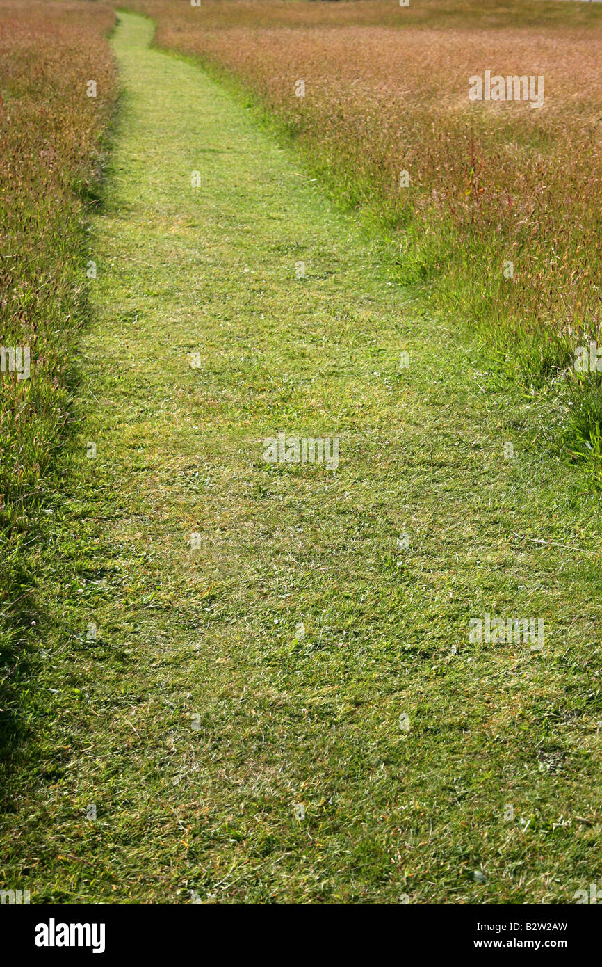 mown grass path, Devon, England Stock Photo - Alamy