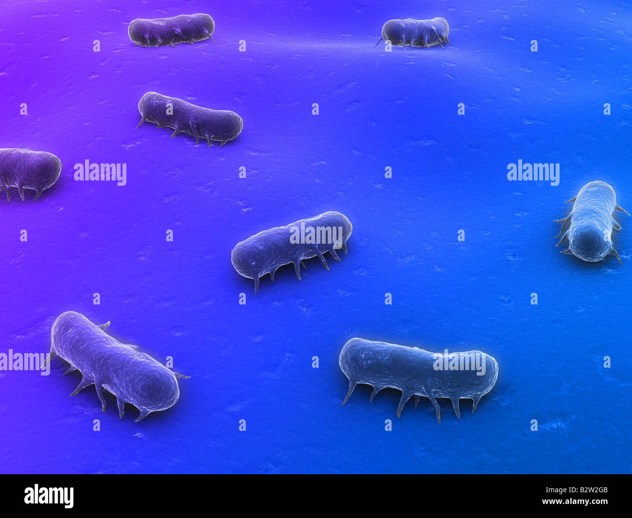 Isolated salmonella bacterium hi-res stock photography and images - Alamy
