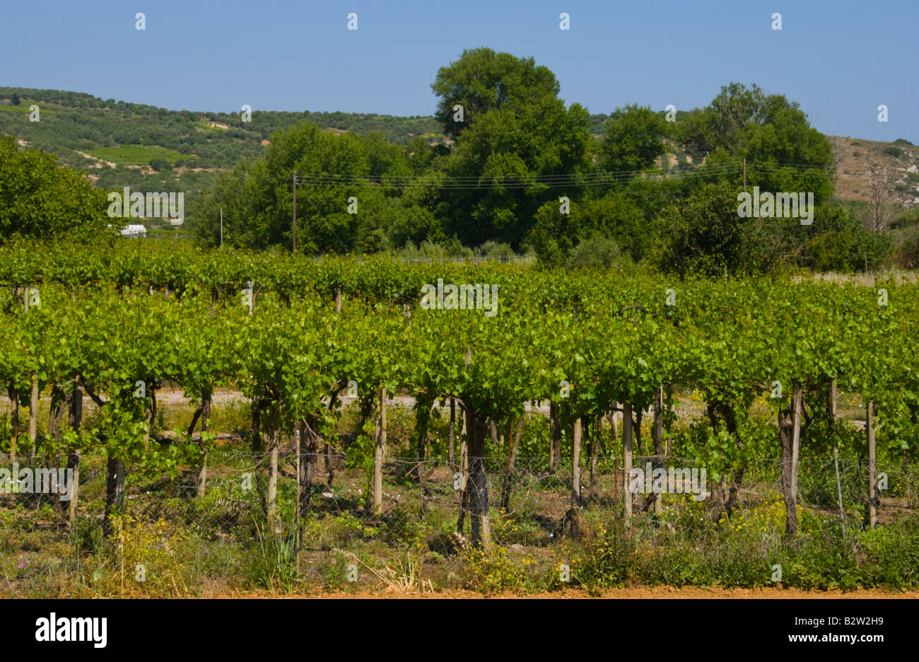 Thrapsano High Resolution Stock Photography and Images - Alamy