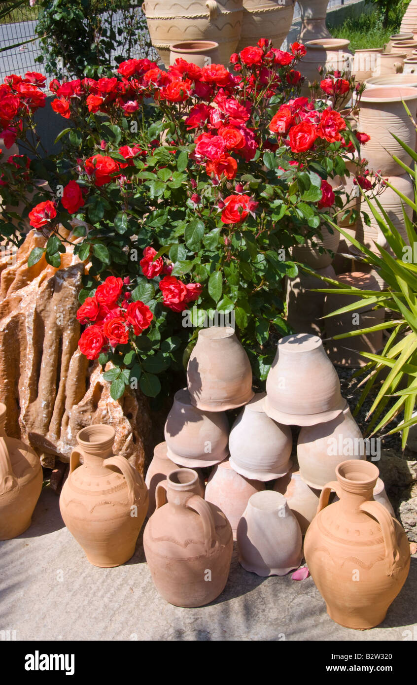 Cretan rose hi-res stock photography and images - Alamy
