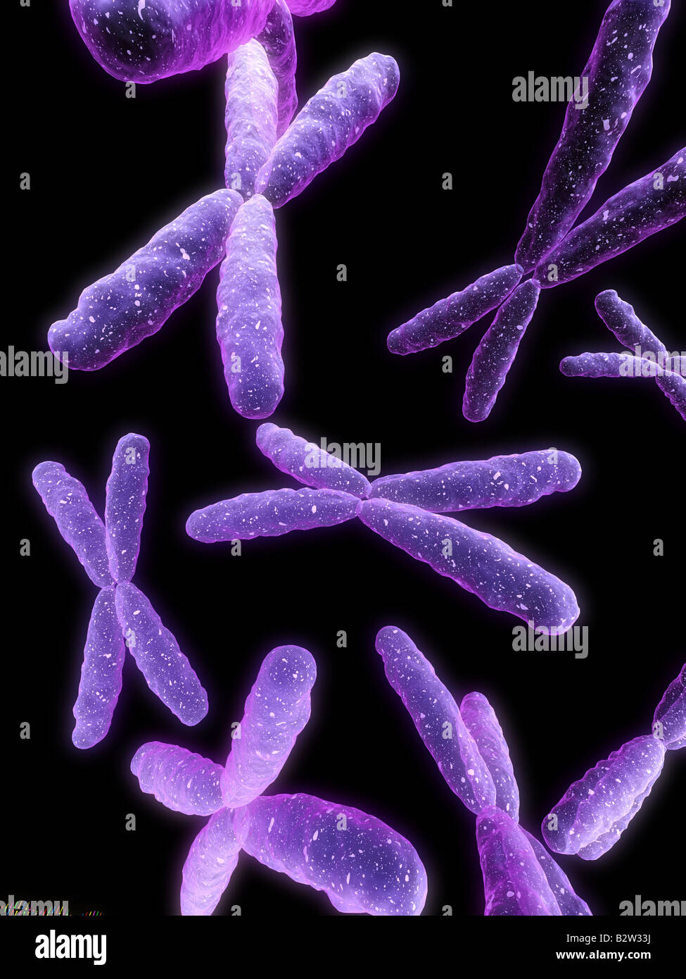 Chromosomes microscope hi-res stock photography and images - Alamy