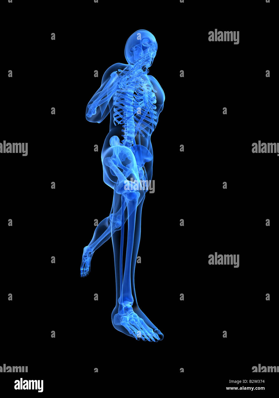 running man - anatomy Stock Photo - Alamy