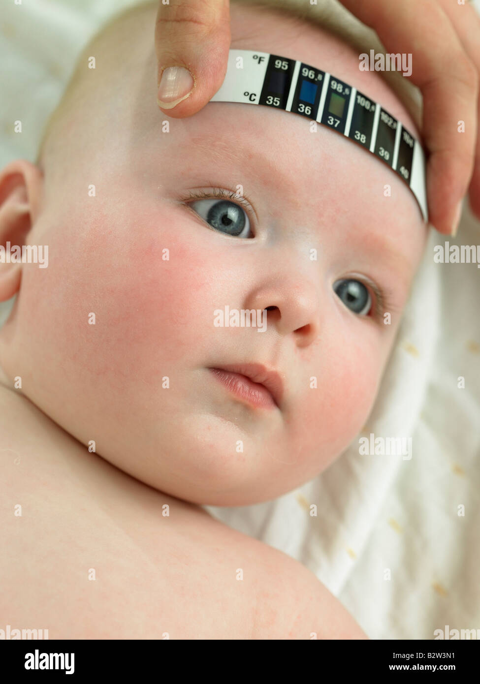 Thermometer strips hi-res stock photography and images - Alamy