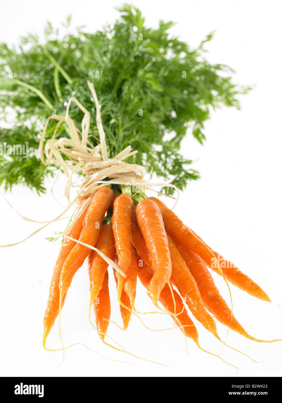 Bunch of carrots tied with string hi-res stock photography and images ...
