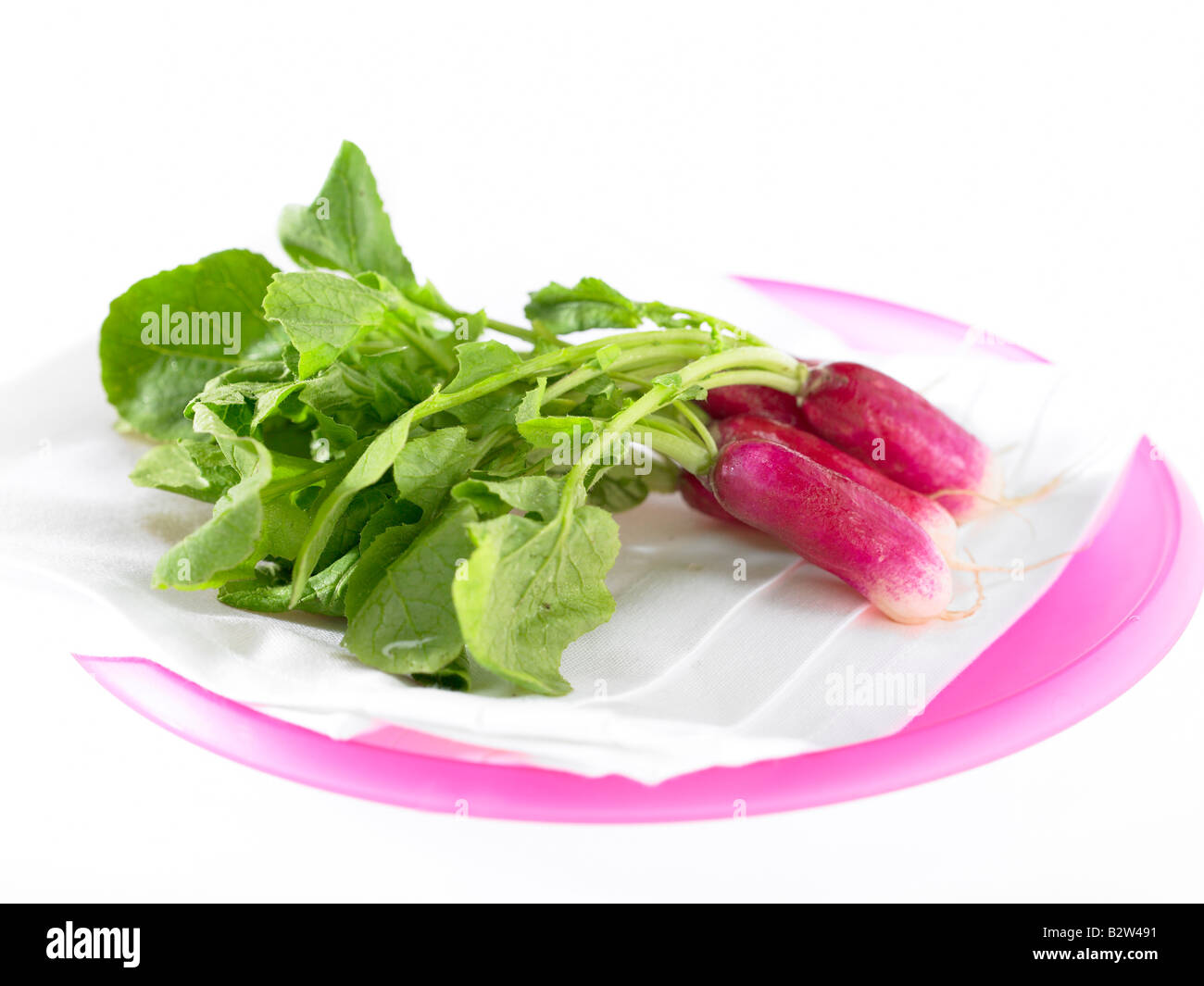 Root Plates Horizontal High Resolution Stock Photography and Images - Alamy