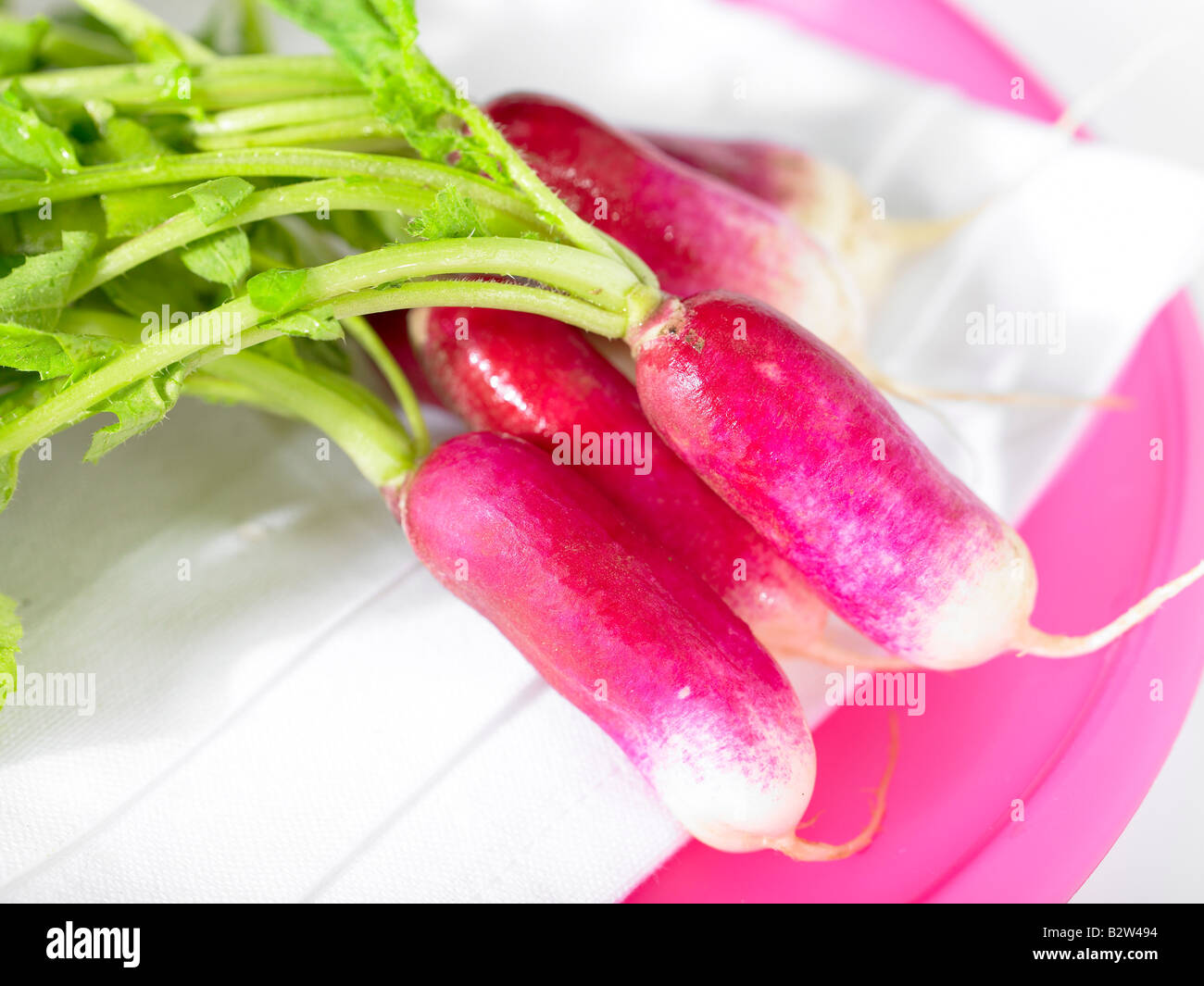 Root plates horizontal hi-res stock photography and images - Alamy