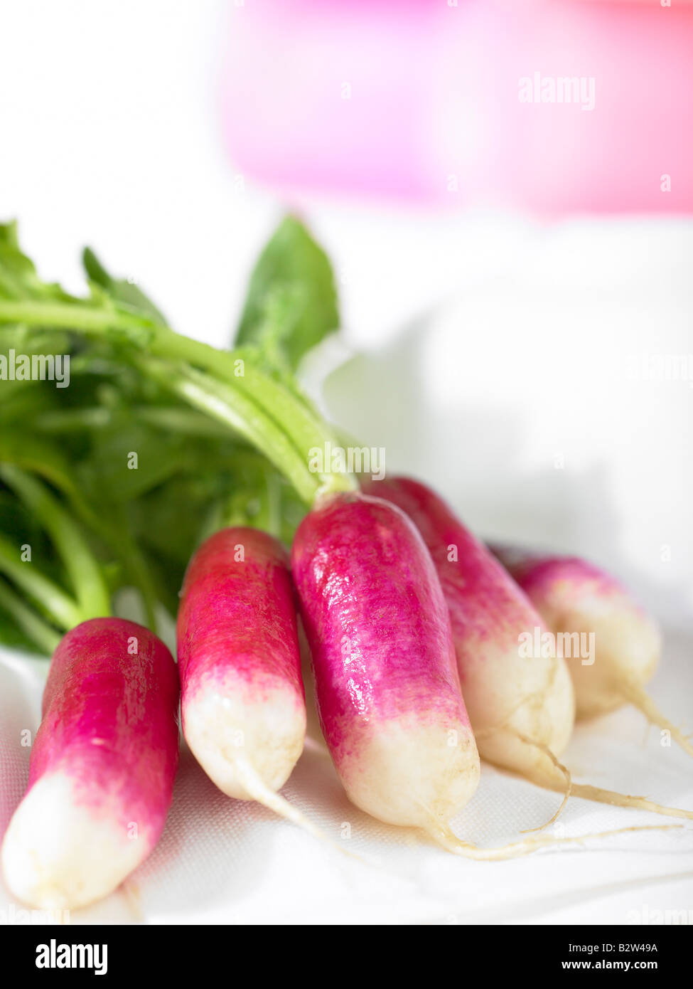 Root plates horizontal hi-res stock photography and images - Alamy