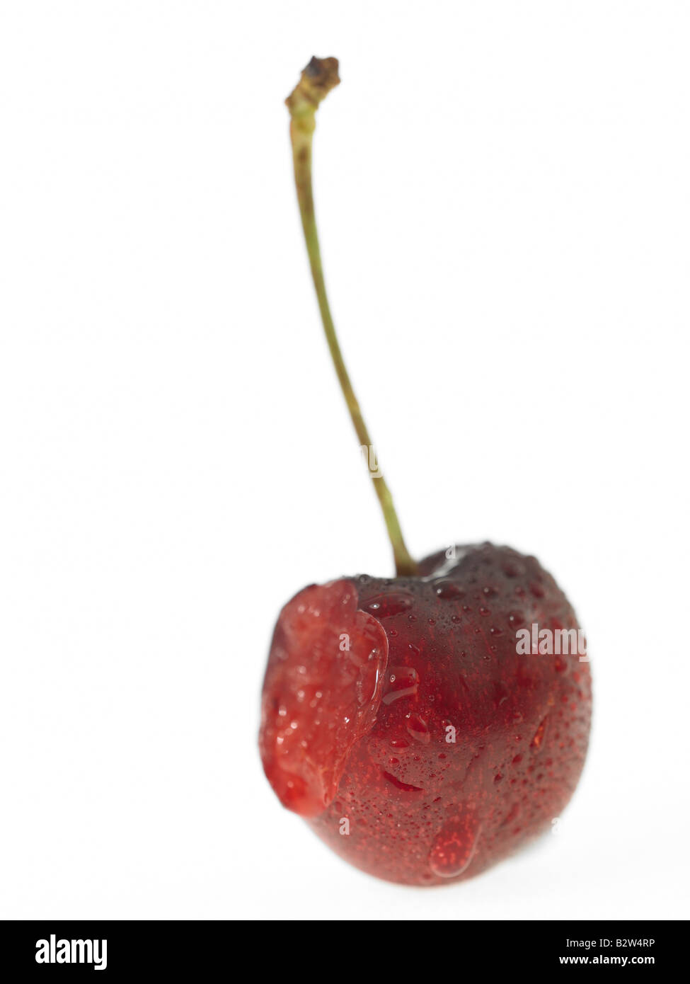 Bite vertical Cut Out Stock Images & Pictures - Alamy