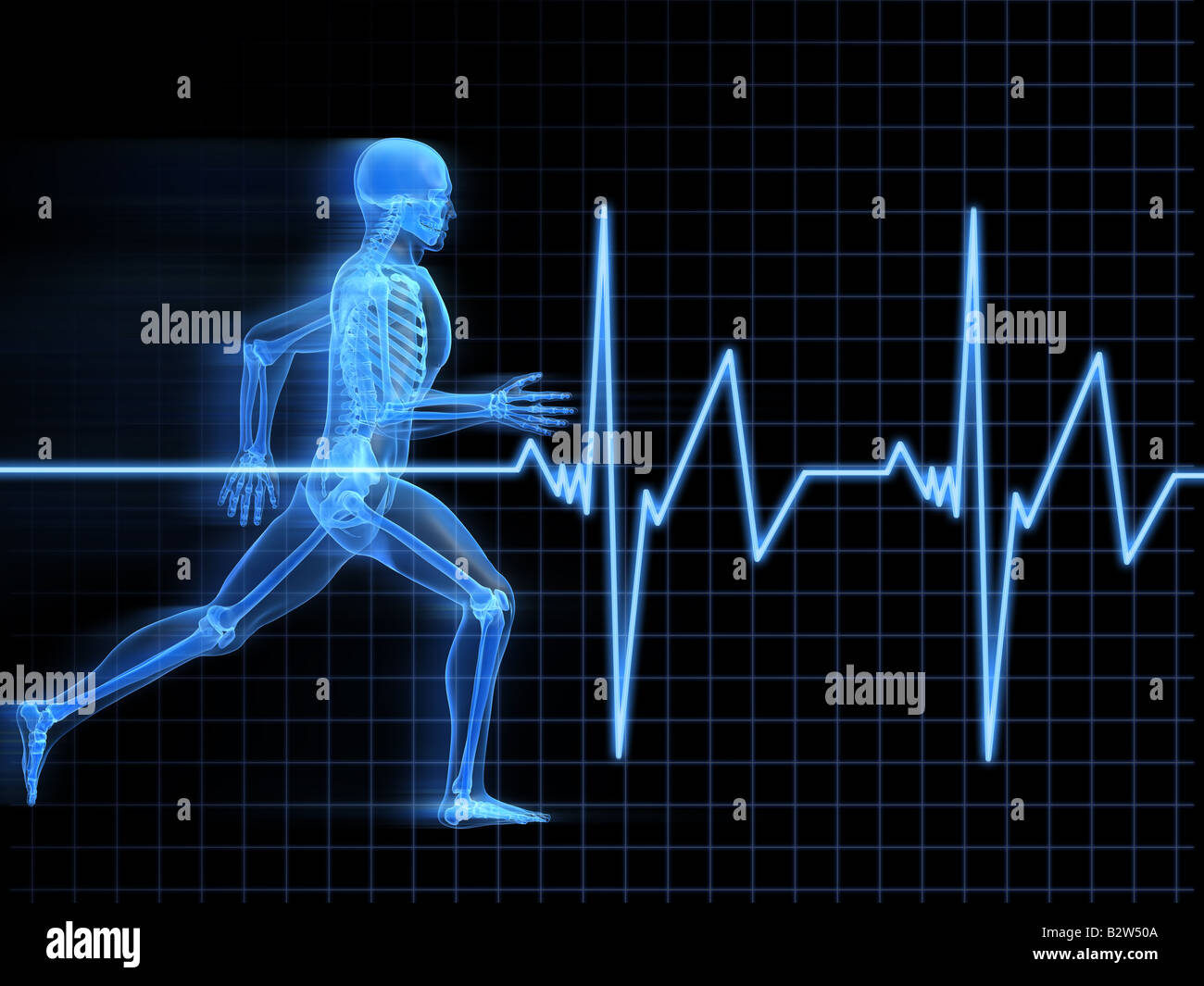 running man - anatomy Stock Photo - Alamy