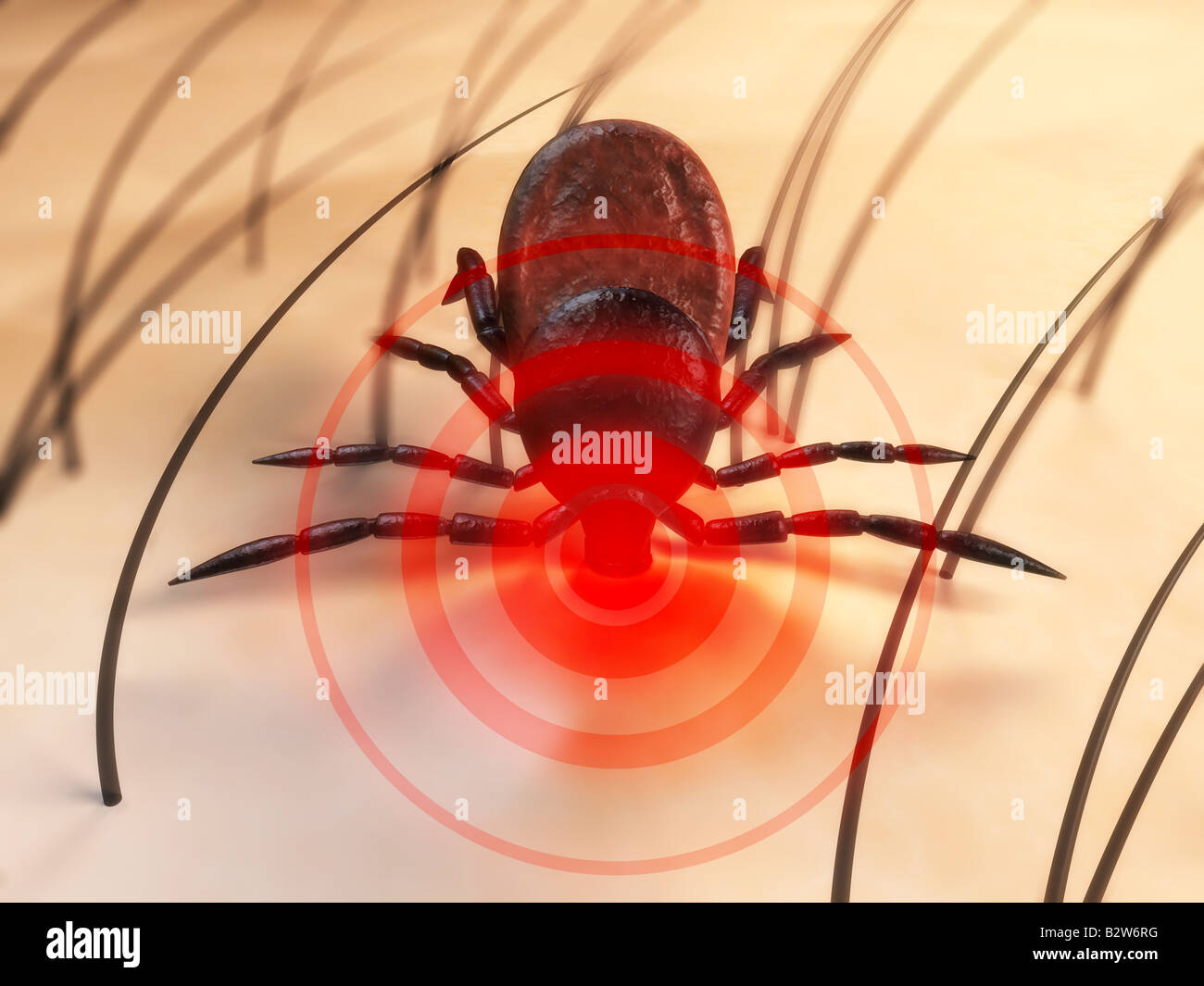 Make it tick hi-res stock photography and images - Alamy