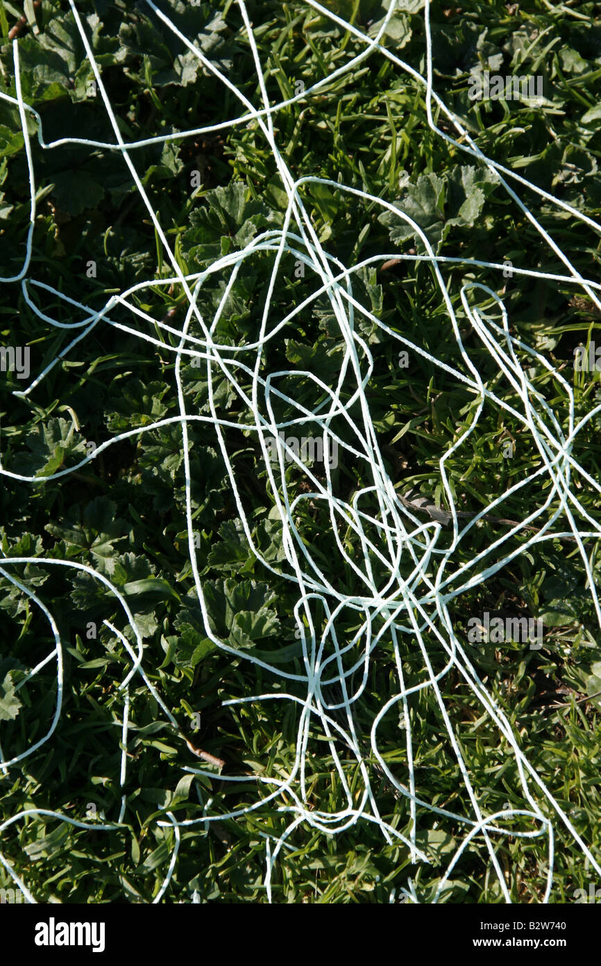 party streamer spray on grass in garden field Stock Photo - Alamy