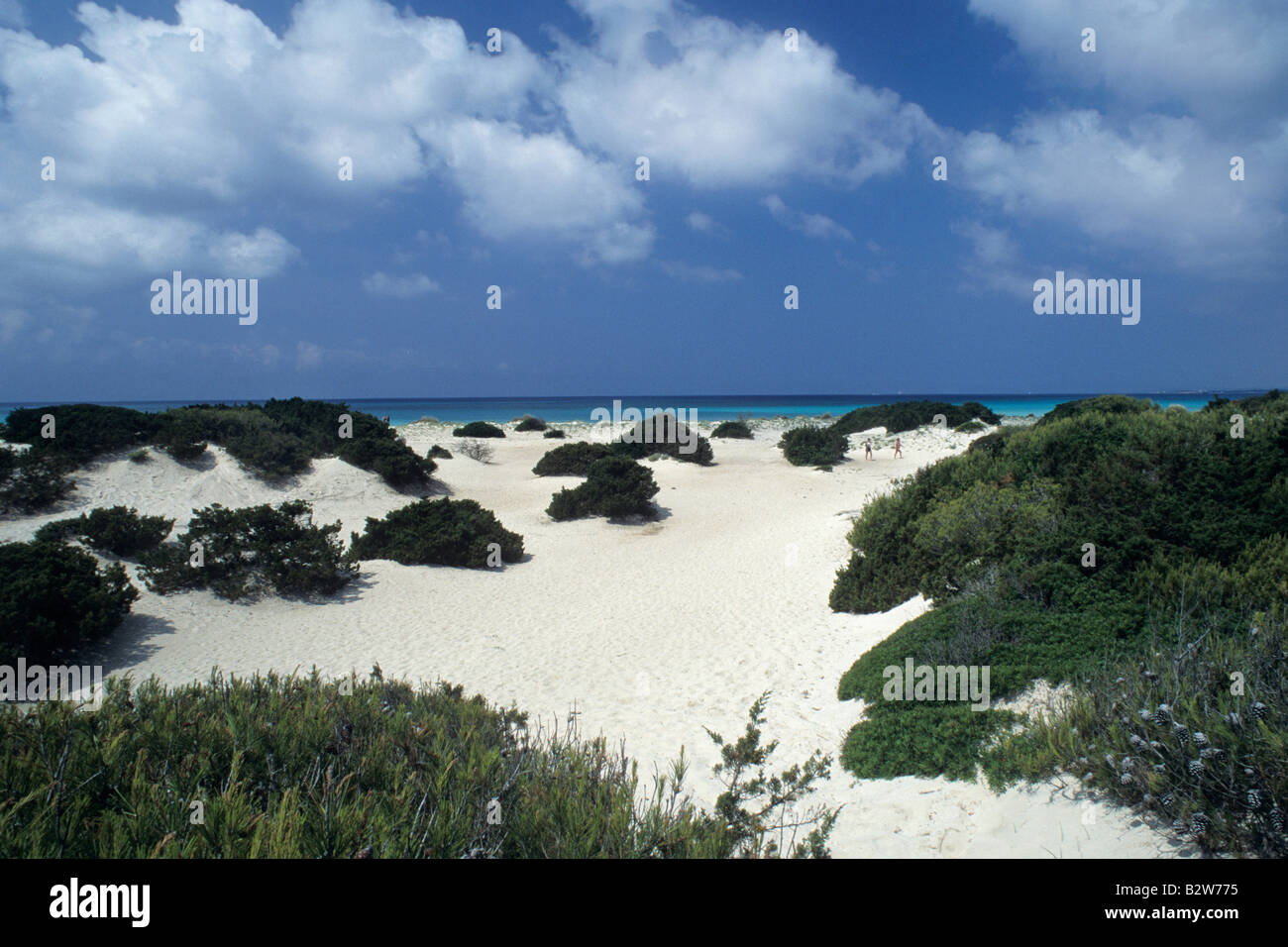Spain Majorca Beach Es Trenc at the south coast It is the largest ...