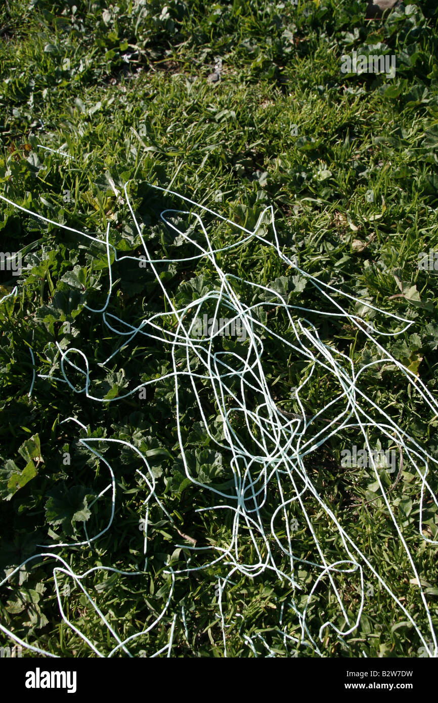 Grass strands graphic hi-res stock photography and images - Alamy