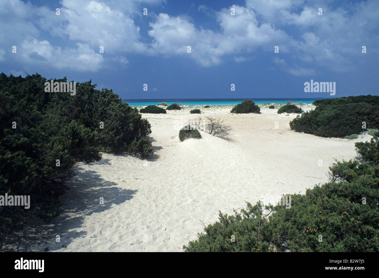 Spain, Majorca, Beach Es Trenc at the south coast It is the largest ...
