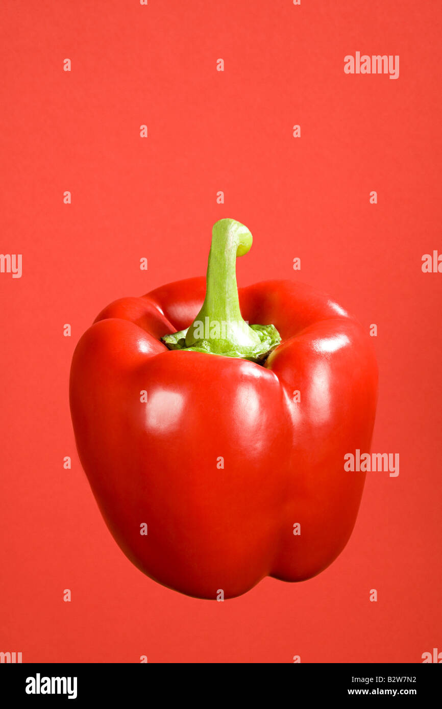 Red bell pepper Stock Photo - Alamy