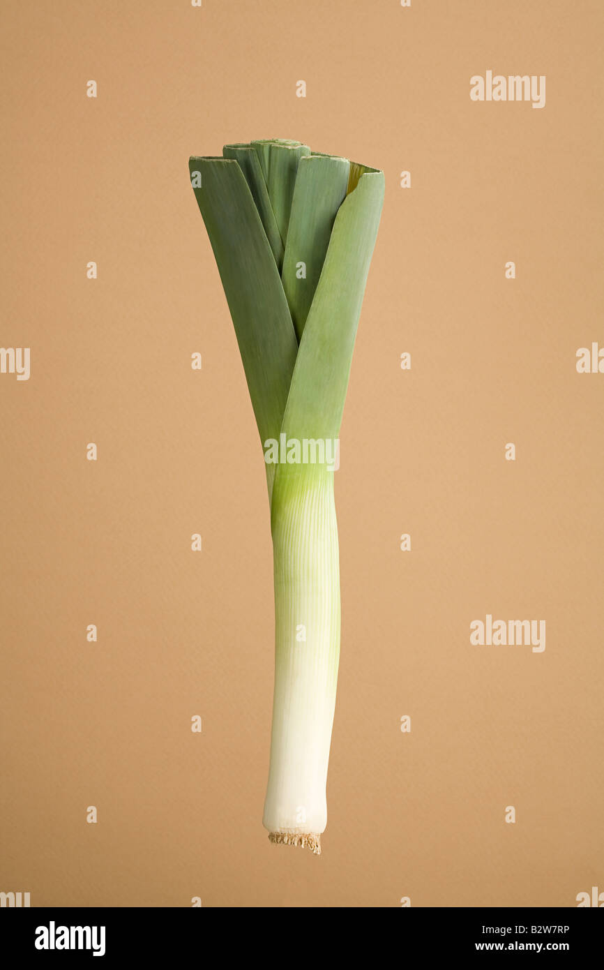 Welsh leek cutout hi-res stock photography and images - Alamy