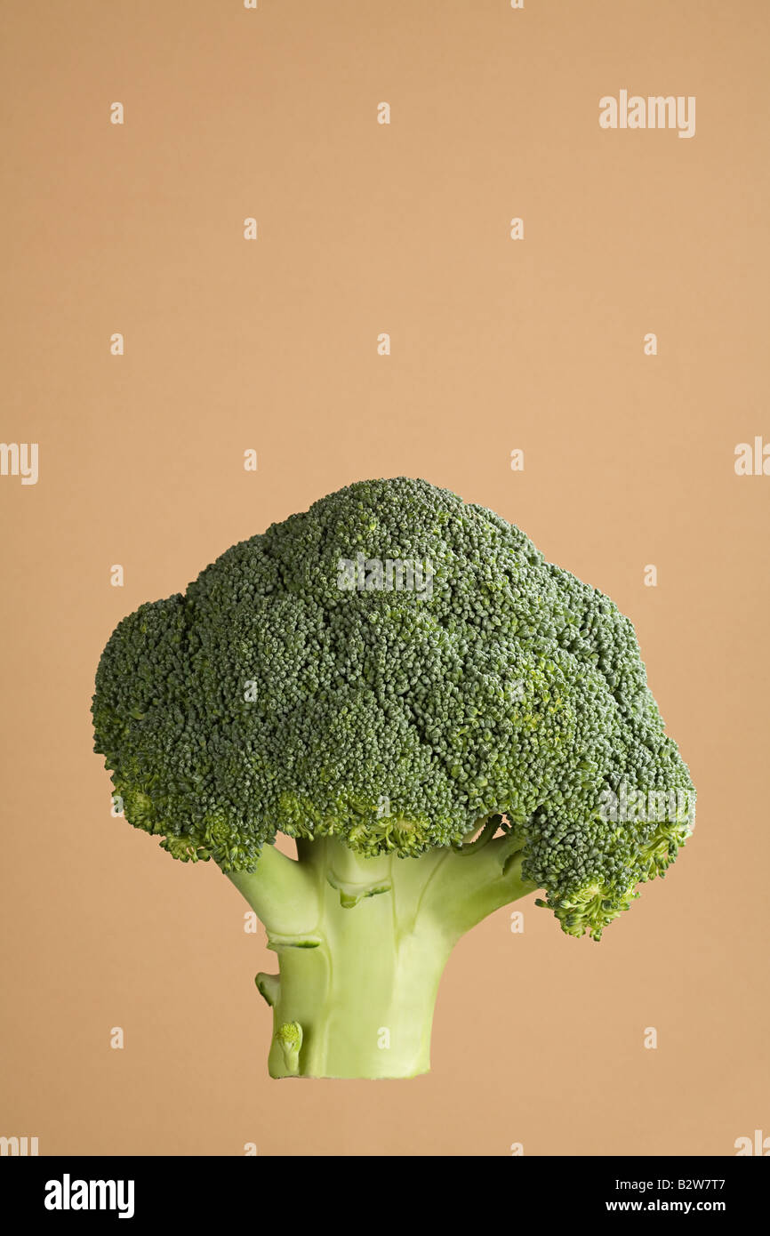 Broccoli Close Up High Resolution Stock Photography and Images - Alamy