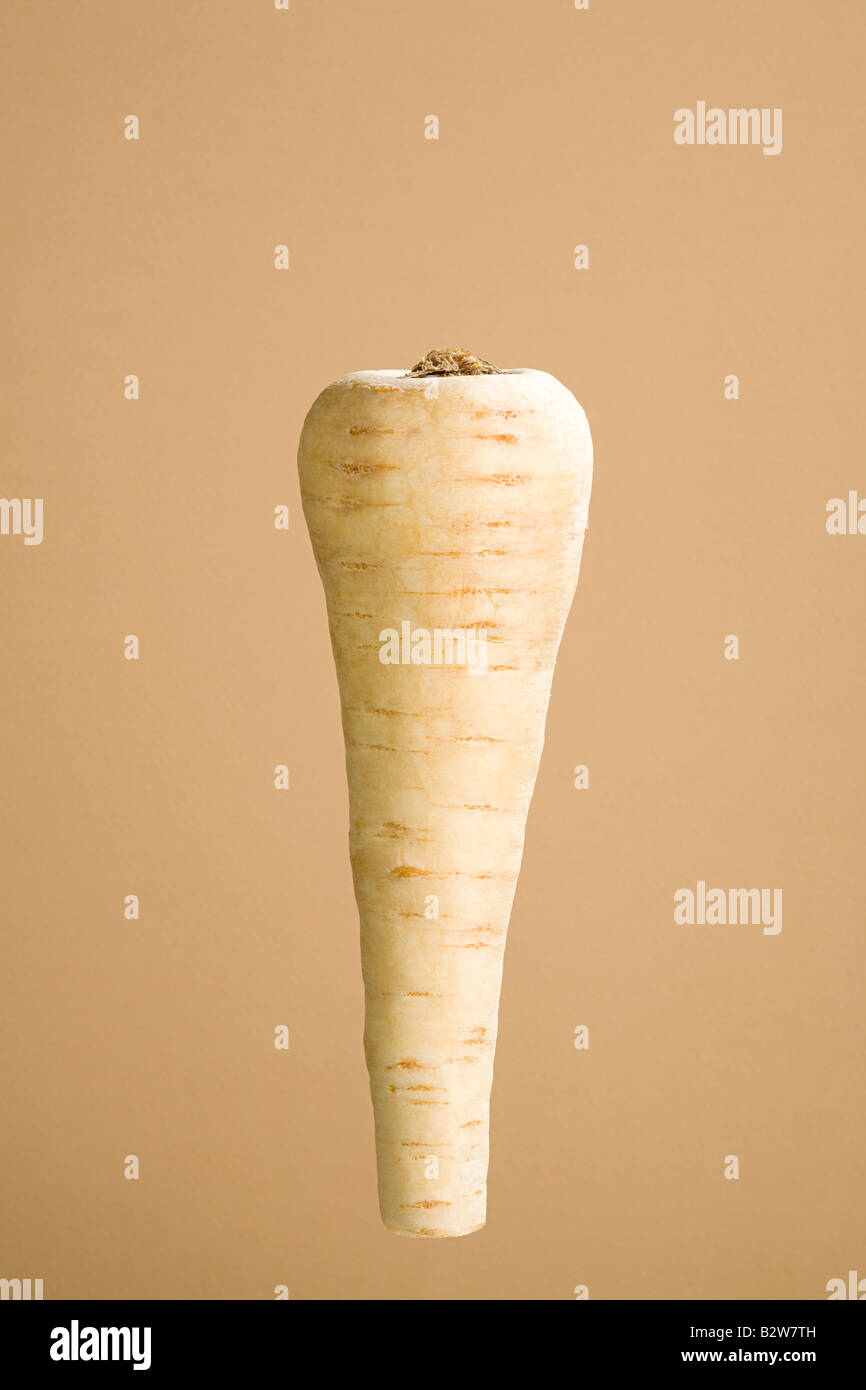 Single parsnip hi-res stock photography and images - Alamy