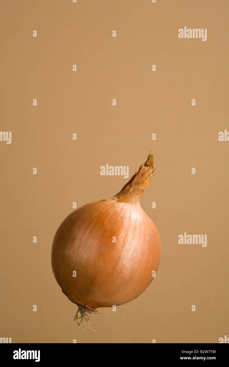 Onion hi-res stock photography and images - Alamy