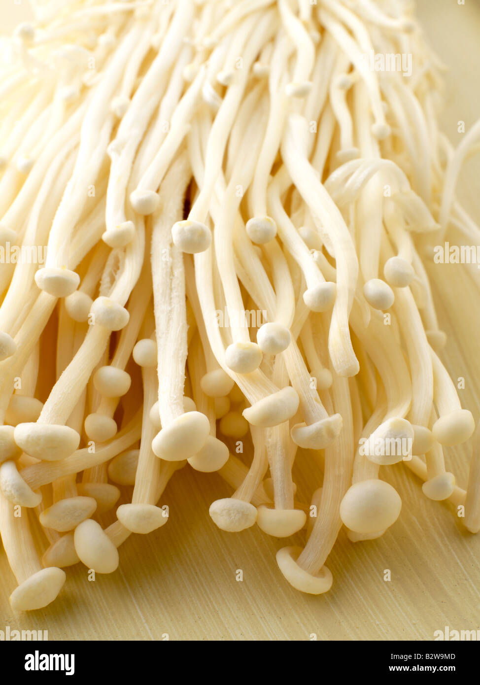 Enokitake hi-res stock photography and images - Alamy