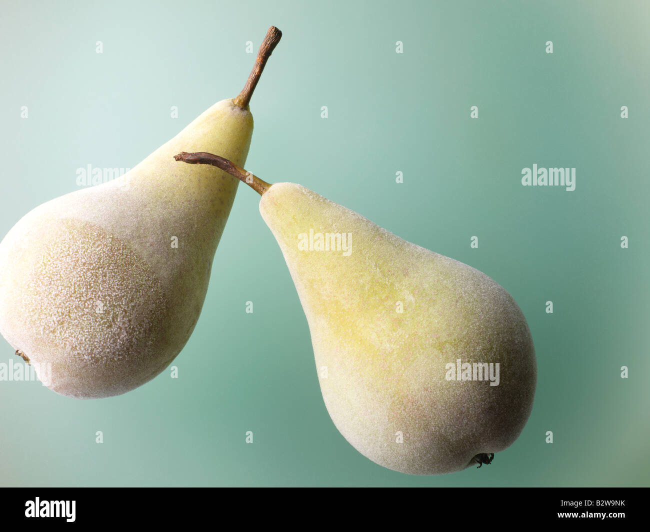 O frozen hi-res stock photography and images - Alamy