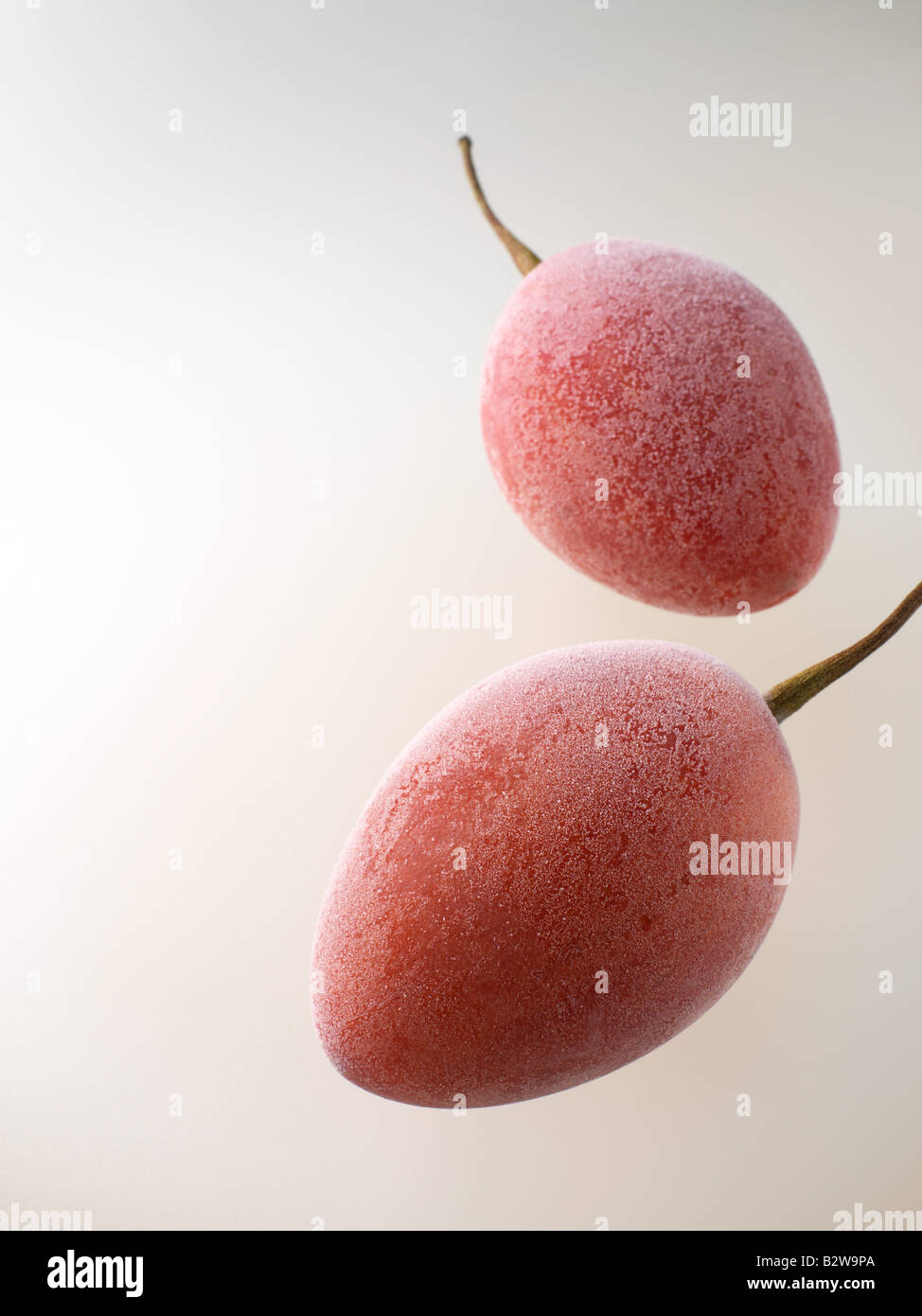 Australian (plum or plums) hi-res stock photography and images - Alamy