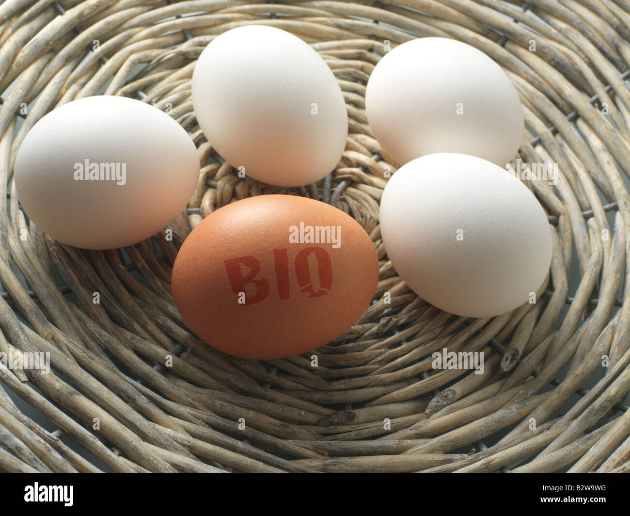 L bio hi-res stock photography and images - Alamy