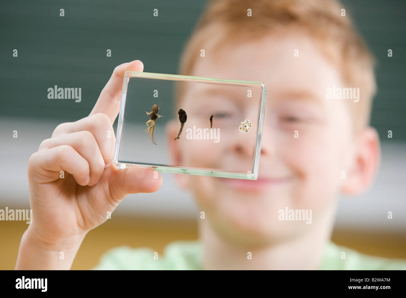 Child development stages hi-res stock photography and images - Alamy