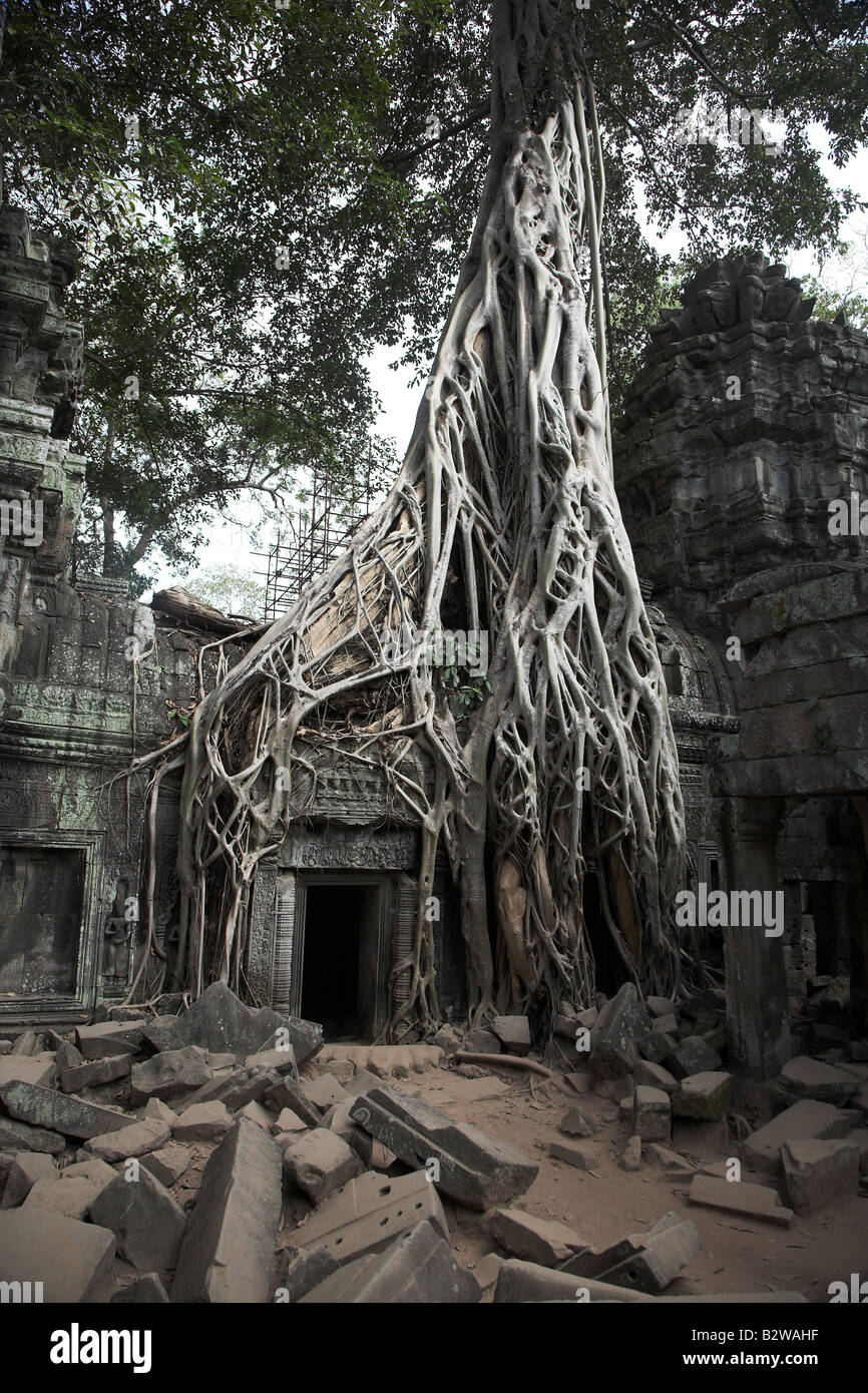 Angkor wat city of temples hi-res stock photography and images - Alamy