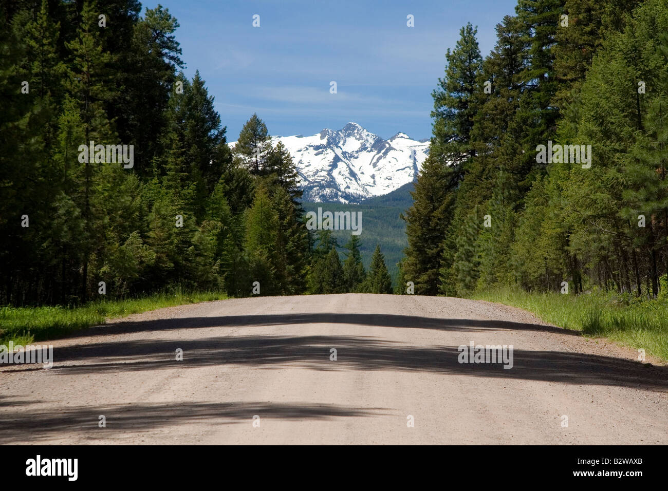 Snow covered peak in the Mission Mountains near Condon Montana Stock ...