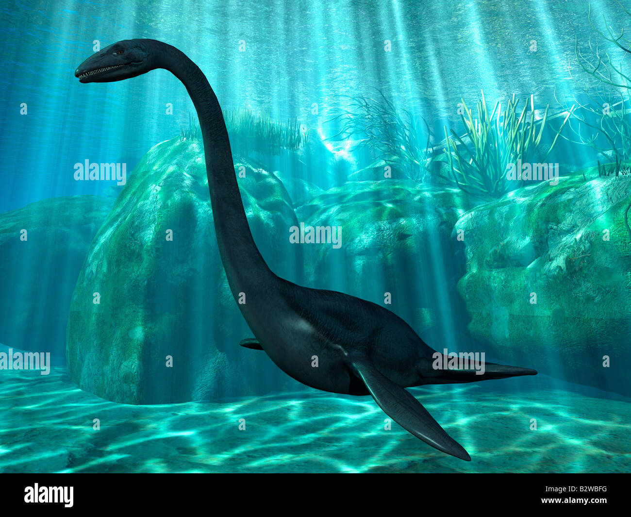 Elasmosaurus hi-res stock photography and images - Alamy