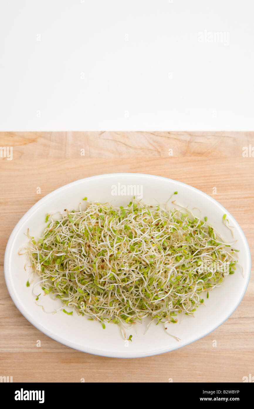 Alfalfa sprouts hi-res stock photography and images - Alamy