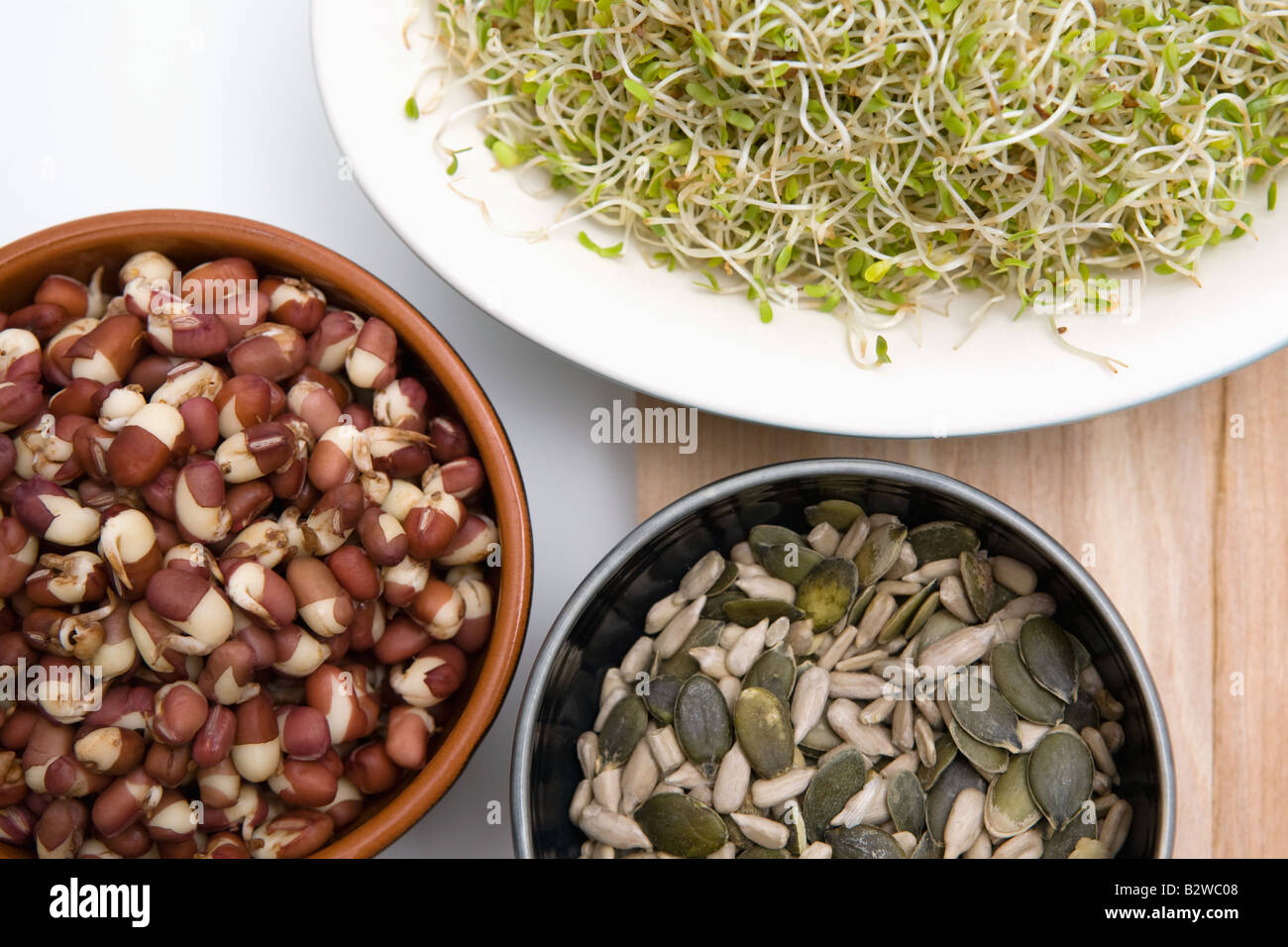 Alfalfa beans hi-res stock photography and images - Alamy