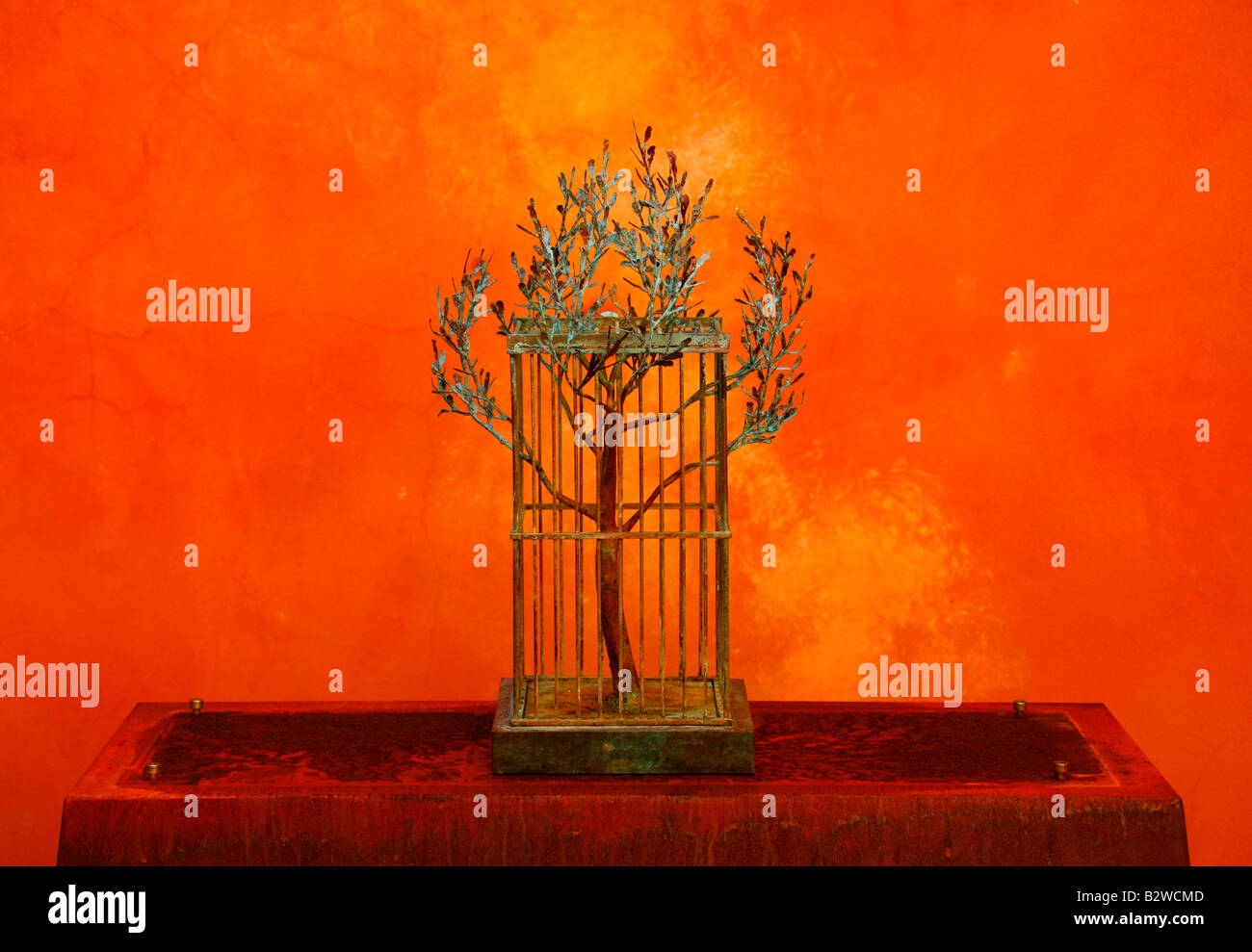 Caged Tree by Alex Kosmas Stock Photo - Alamy