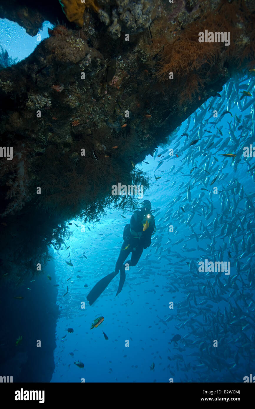 A person scuba diving Stock Photo - Alamy
