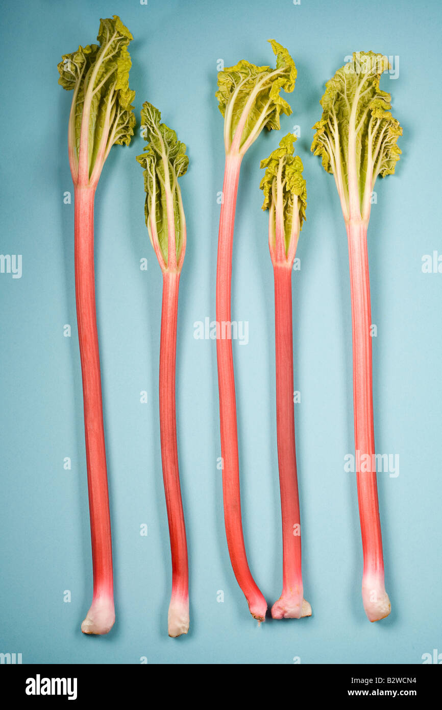 Rhubarb poison hi-res stock photography and images - Alamy
