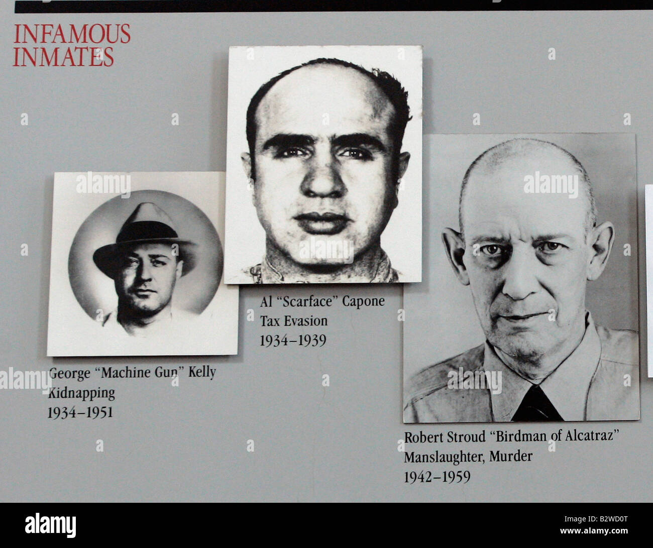 Machine Gun Kelly Alcatraz Cell