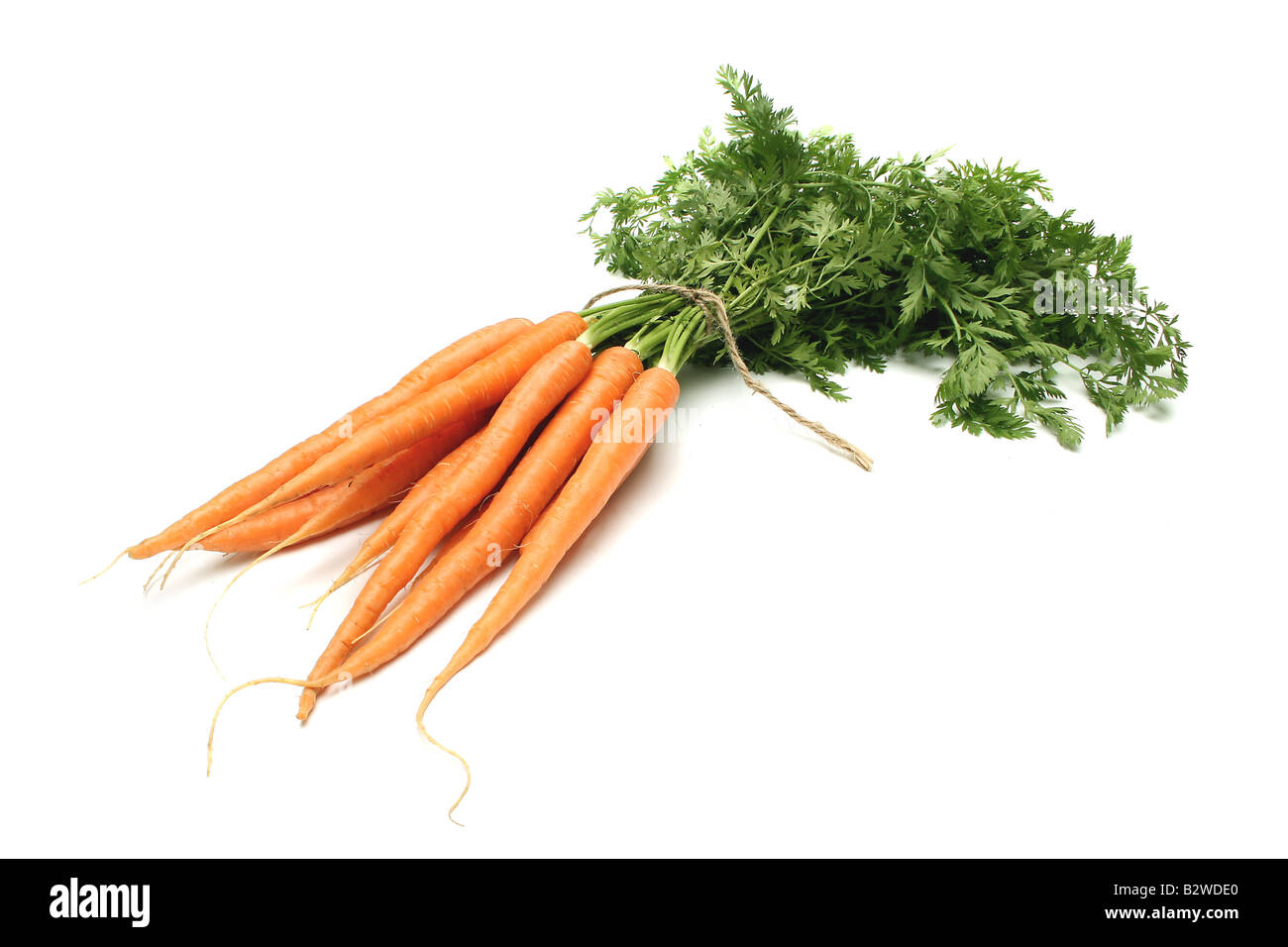 Bunch of fresh carrots Stock Photo - Alamy