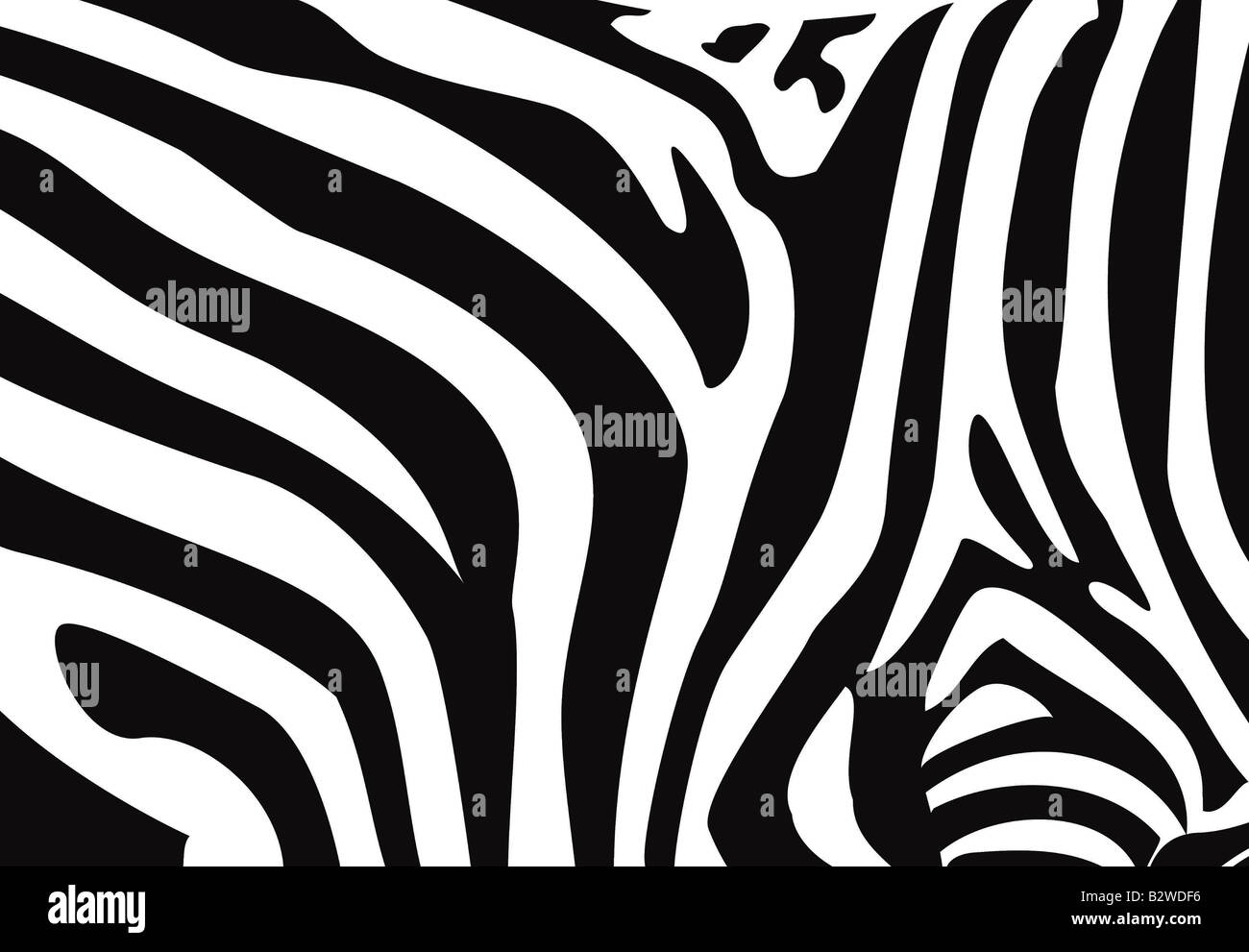 Zebra print hi-res stock photography and images - Alamy
