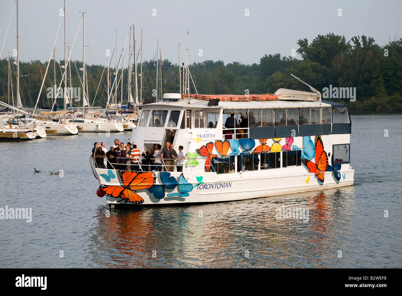 Tourist cruise boat in Toronto Harbour, Ontario, Canada Stock Photo - Alamy