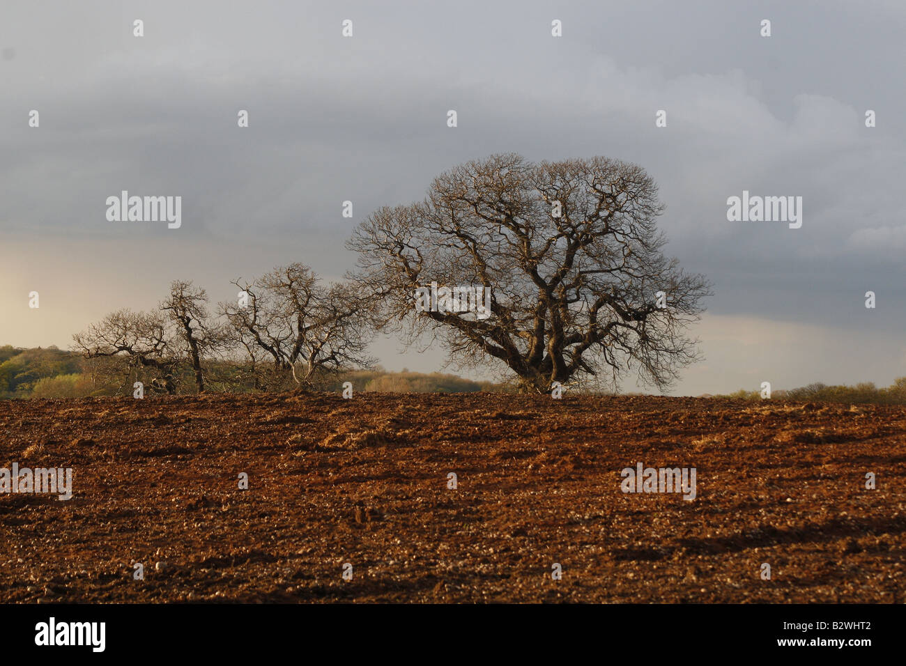 Farmland nottinghamshire hi-res stock photography and images - Alamy