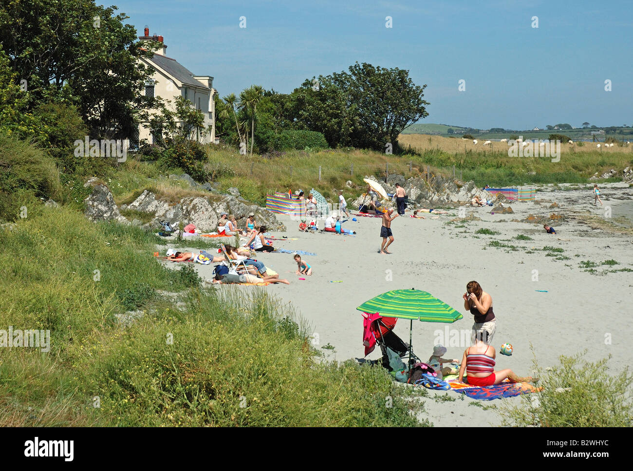 Kilclief Beach Strangford Lough Northern Ireland Stock Photo - Alamy