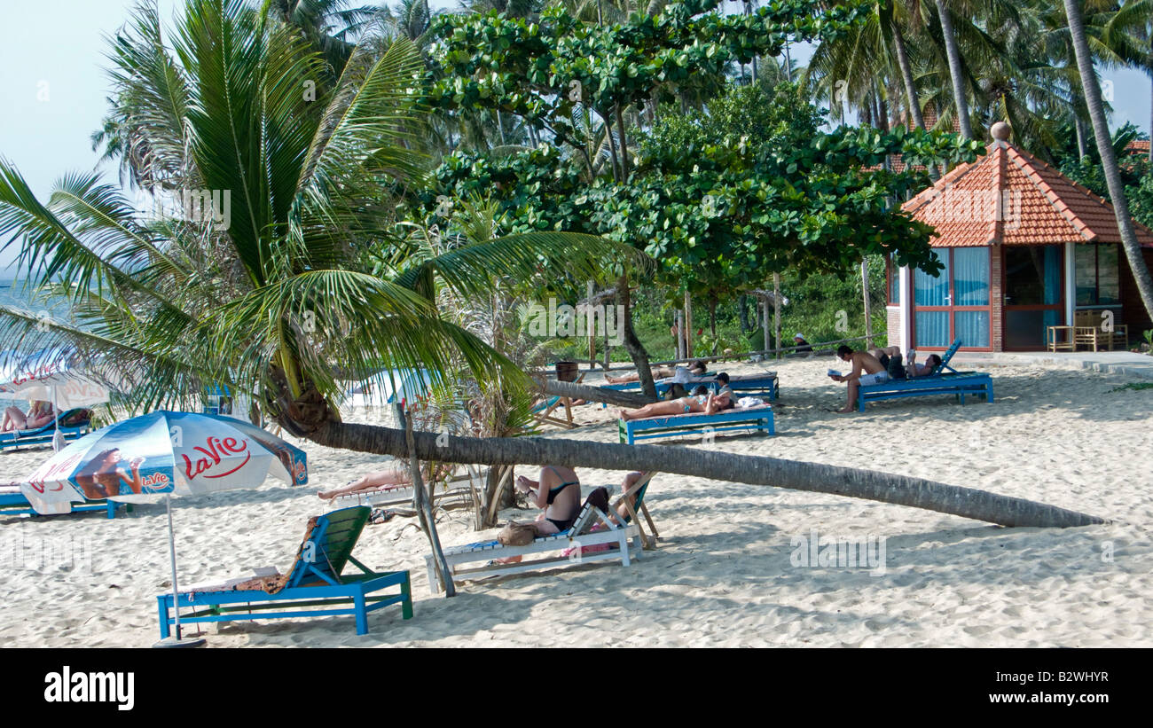 Palm tree growing sideways Than Kieu Coco Beach resort Phu Quoc Island ...