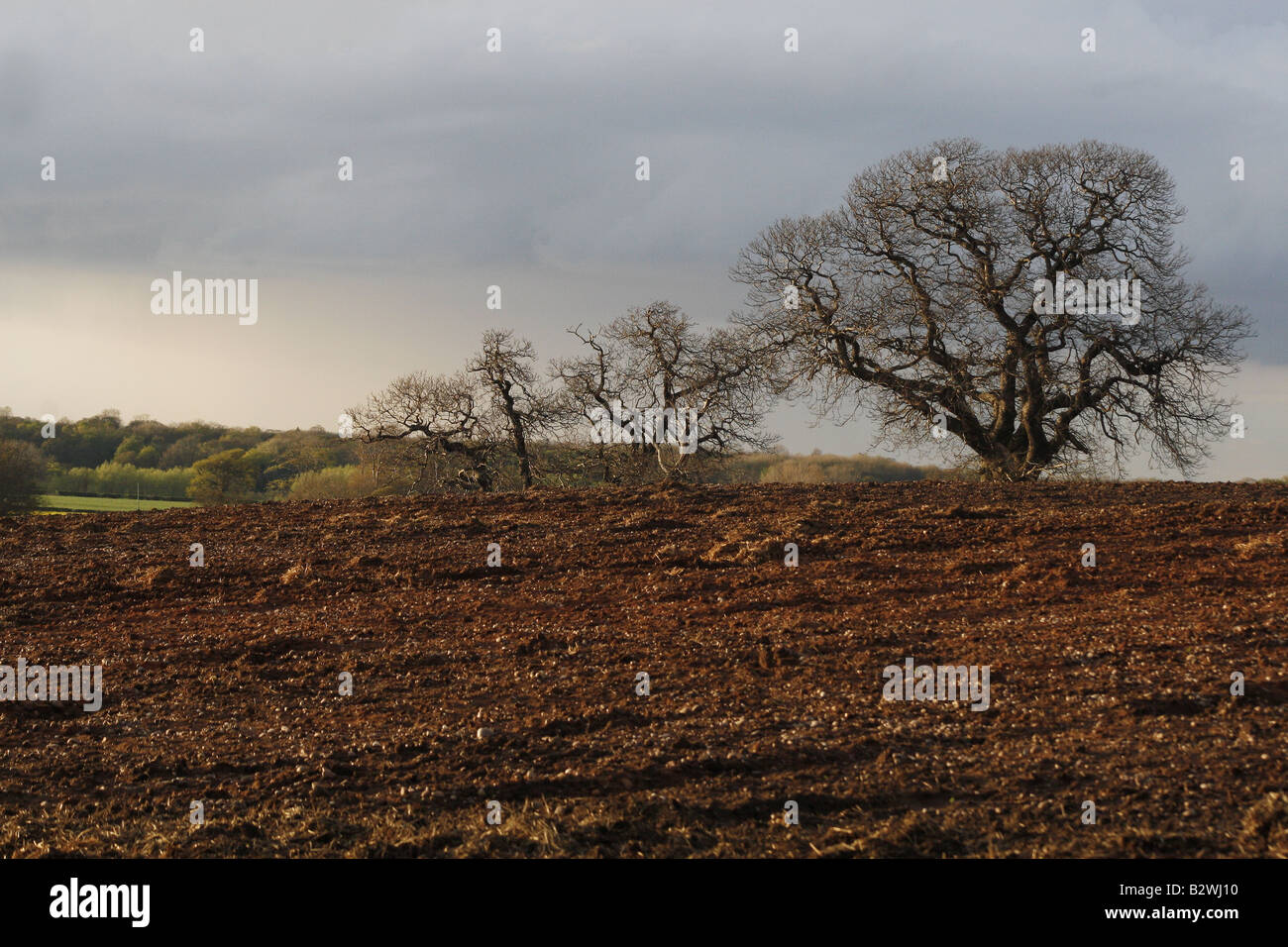Farmland nottinghamshire hi-res stock photography and images - Alamy