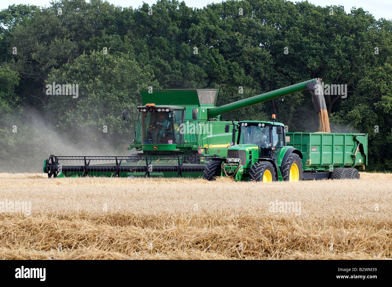 Combine Harvester and Tractor with Trailer Harvesting Wheat Stock Photo ...