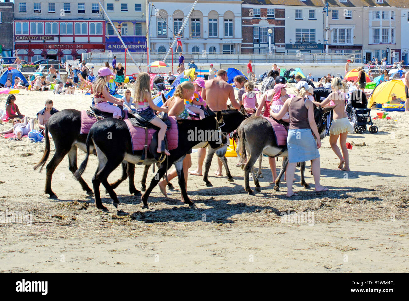 Donkey break hi-res stock photography and images - Alamy